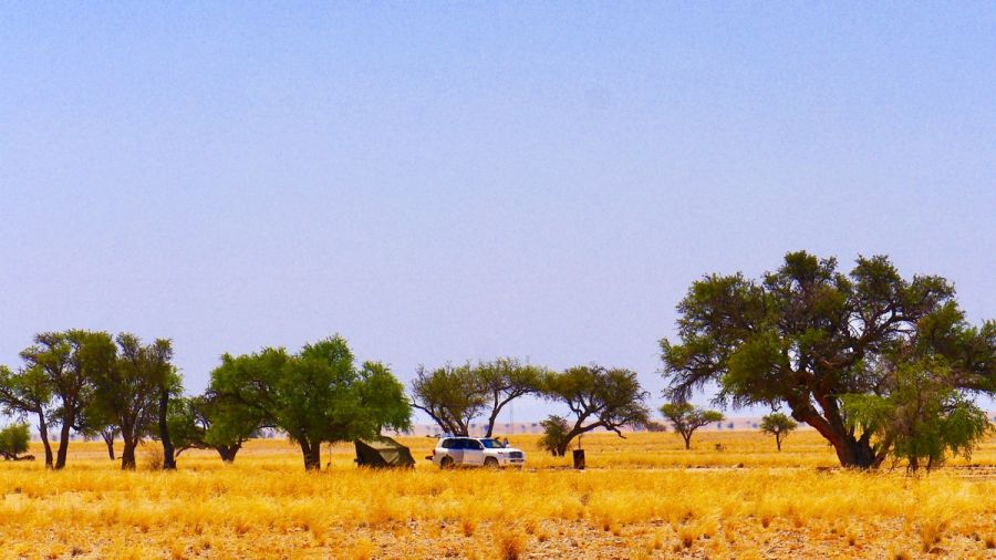 Ganab Camp: Camping-Site in Swakopriver Valley