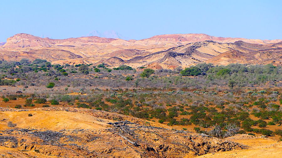 Omdel Dam: Attraction