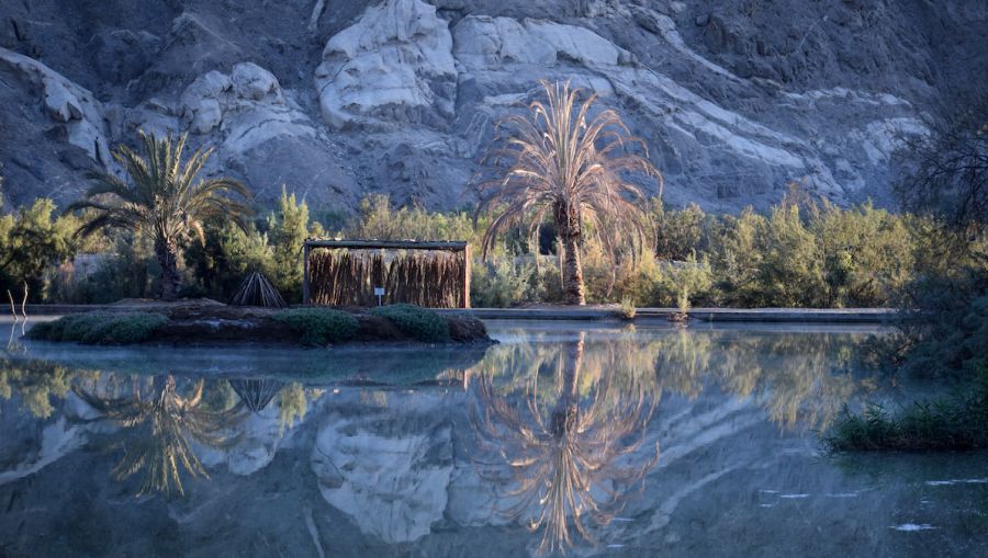 Goanikontes Oasis Camping: Camping-Site in Swakopriver Valley