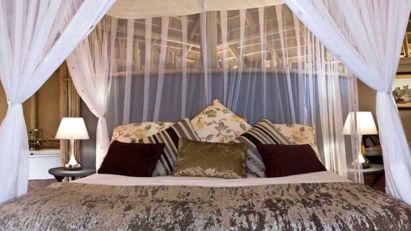 Onkoshi Camp: National Park (with Accommodation) in Etosha