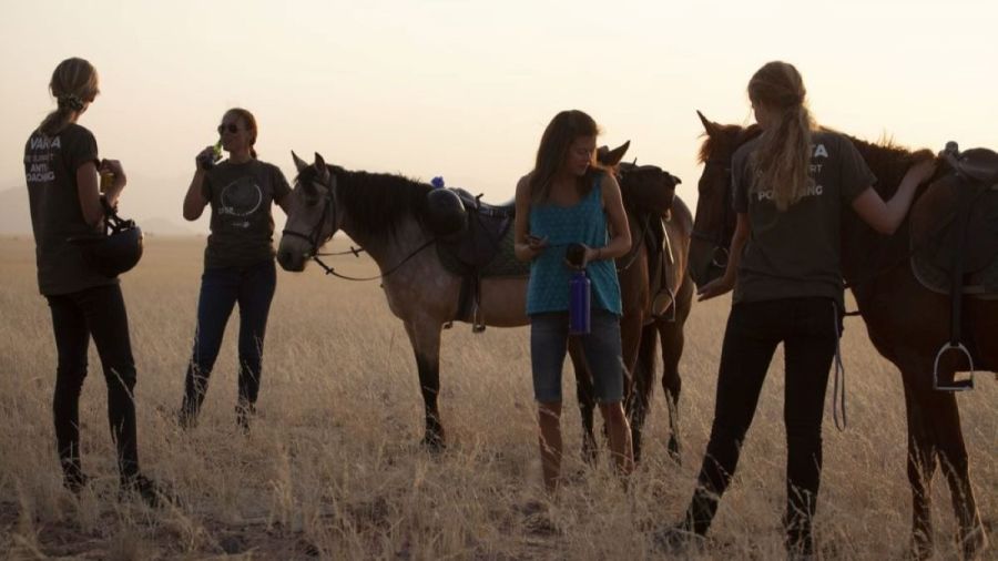 Swakop Info: Information Centre in Swakopmund North