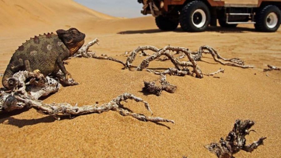 Swakop Info: Information Centre in Swakopmund North