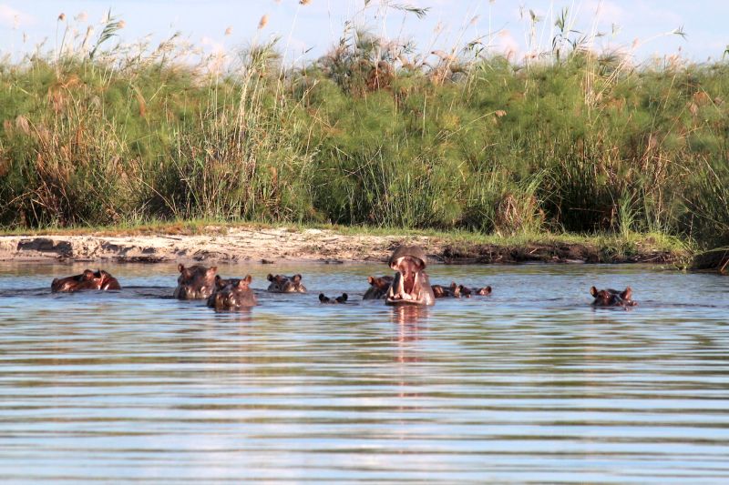 Mukolo Camp: Rest Camp in Kwando