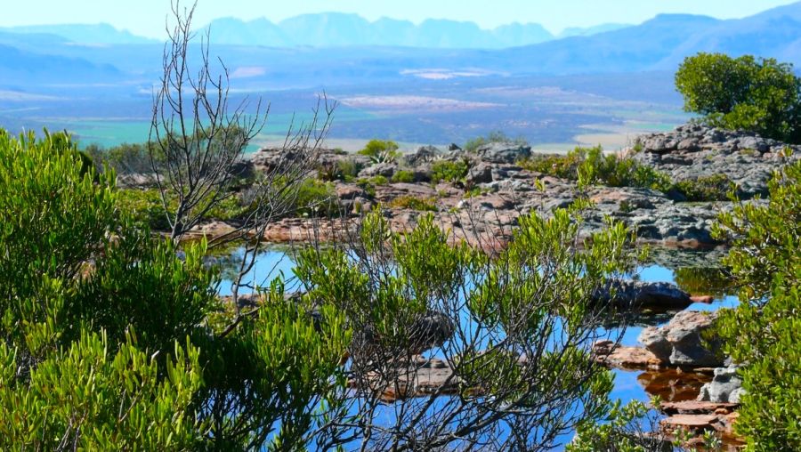 Donkieskraal Game Lodge: Lodge in Cederberg