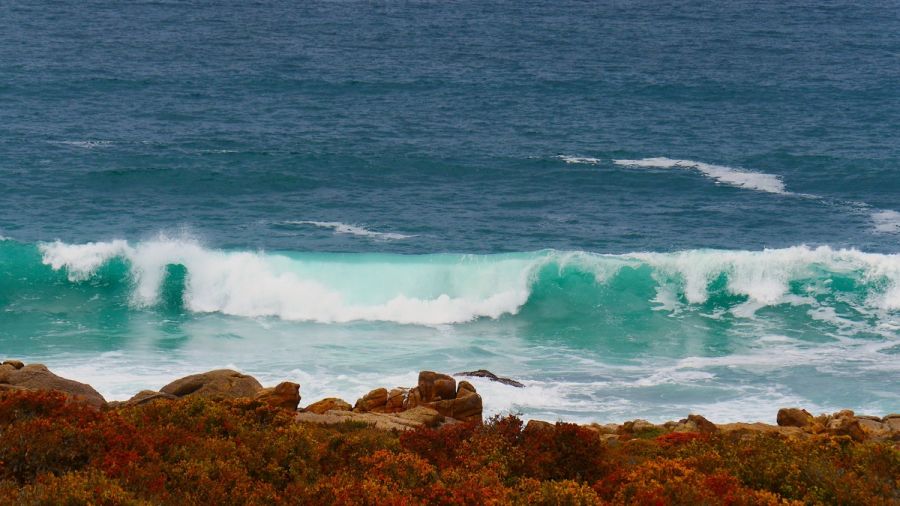 Namaqua National Park: National Park (with Accommodation) in Namaqualand
