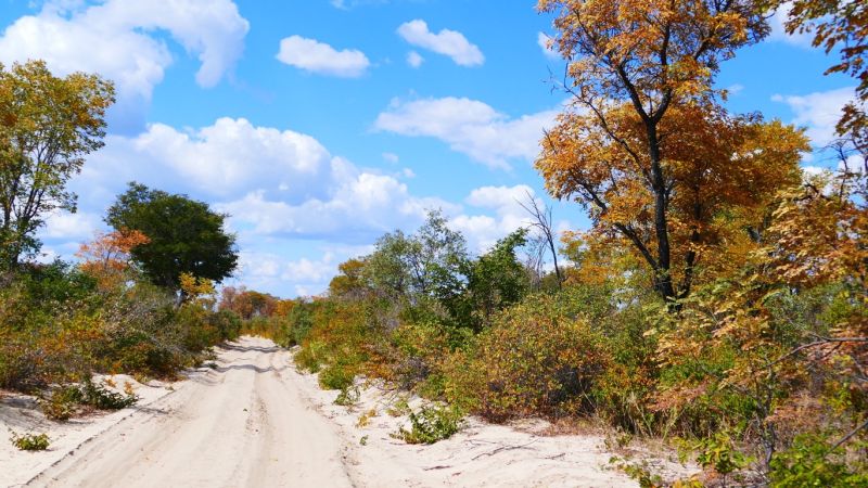 Mangetti National Park: National Park in Okavango Rundu