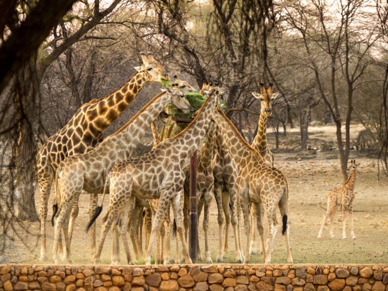 Omaruru Game Lodge: Lodge in Omaruru
