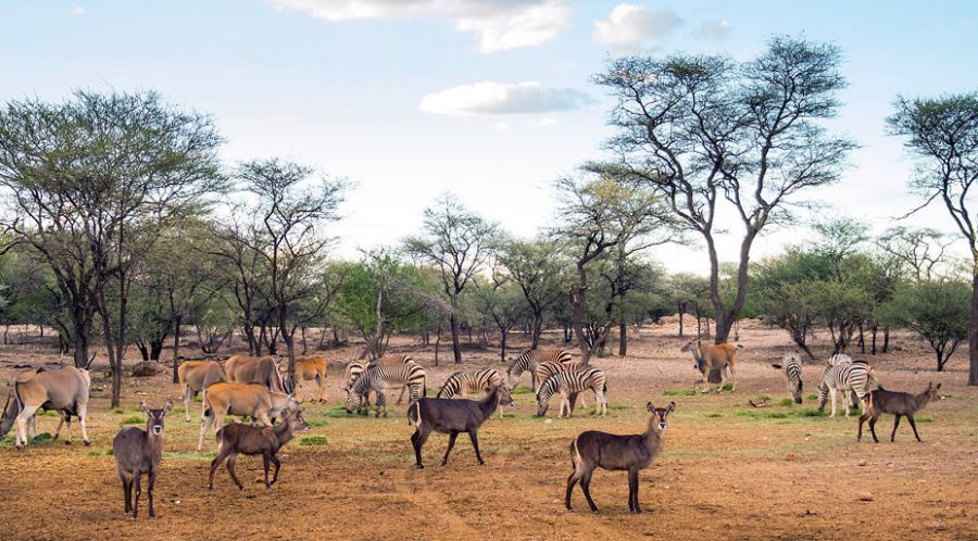 Omaruru Game Lodge: Lodge in Omaruru