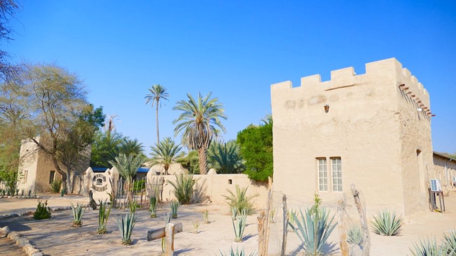 Fort Sesfontein Lodge & Safaris: Lodge in Palmwag / Sesfontein