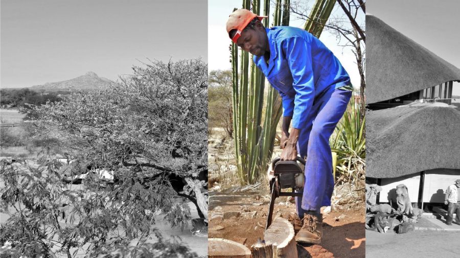 Tikoloshe Afrika: Shopping in Windhoek North West, Windhoek South East ...