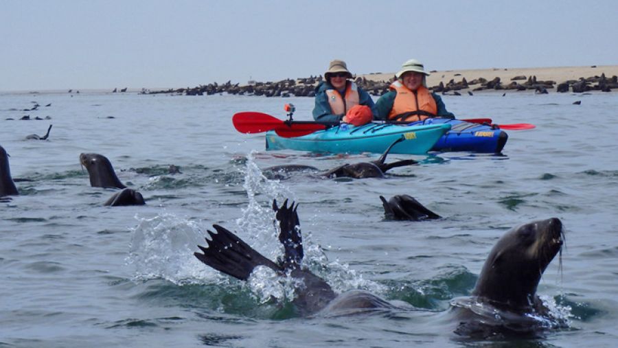 Lagoon Chalets & Caravan Park: Chalet in Walvis Bay