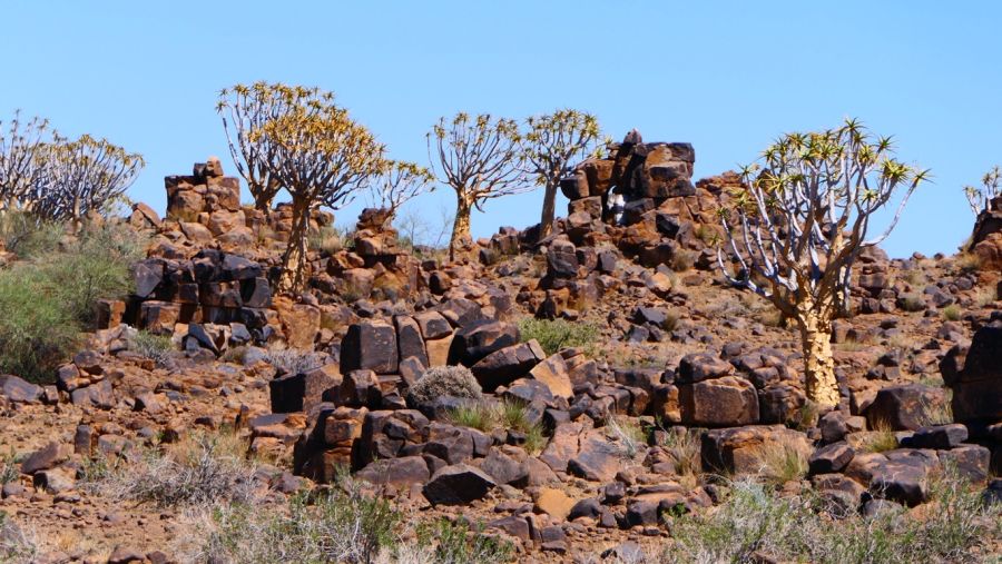 Garas Park Rest Camp: Camping-Site in Keetmanshoop
